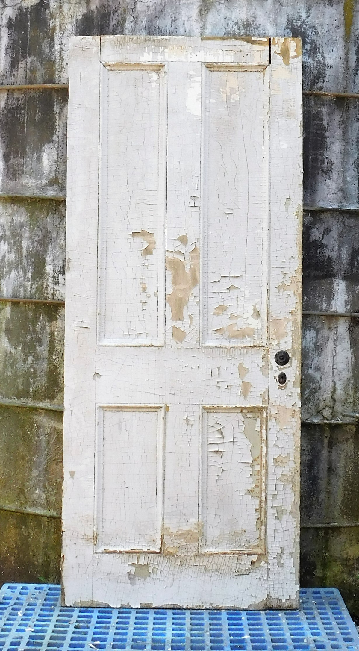 Vintage Panel Doors