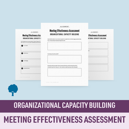 Meeting Effectiveness Assessment | The Learning Loop