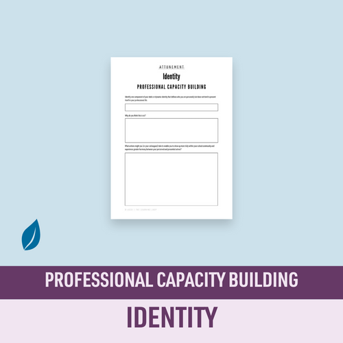 Identity Professional Capacity Building | The Learning Loop