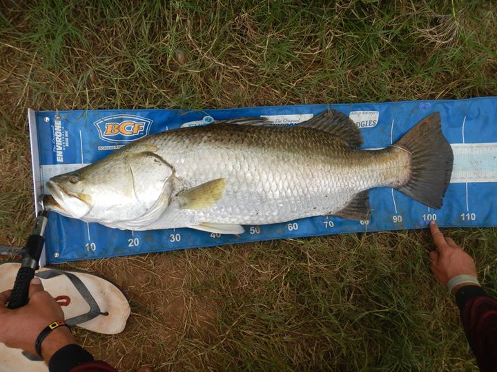 Gallery | NT Fish & 4x4 | Daly River
