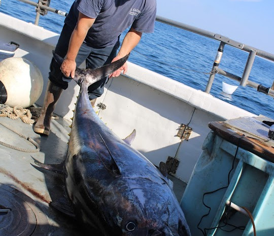 Image Gallery | Steaker Charters