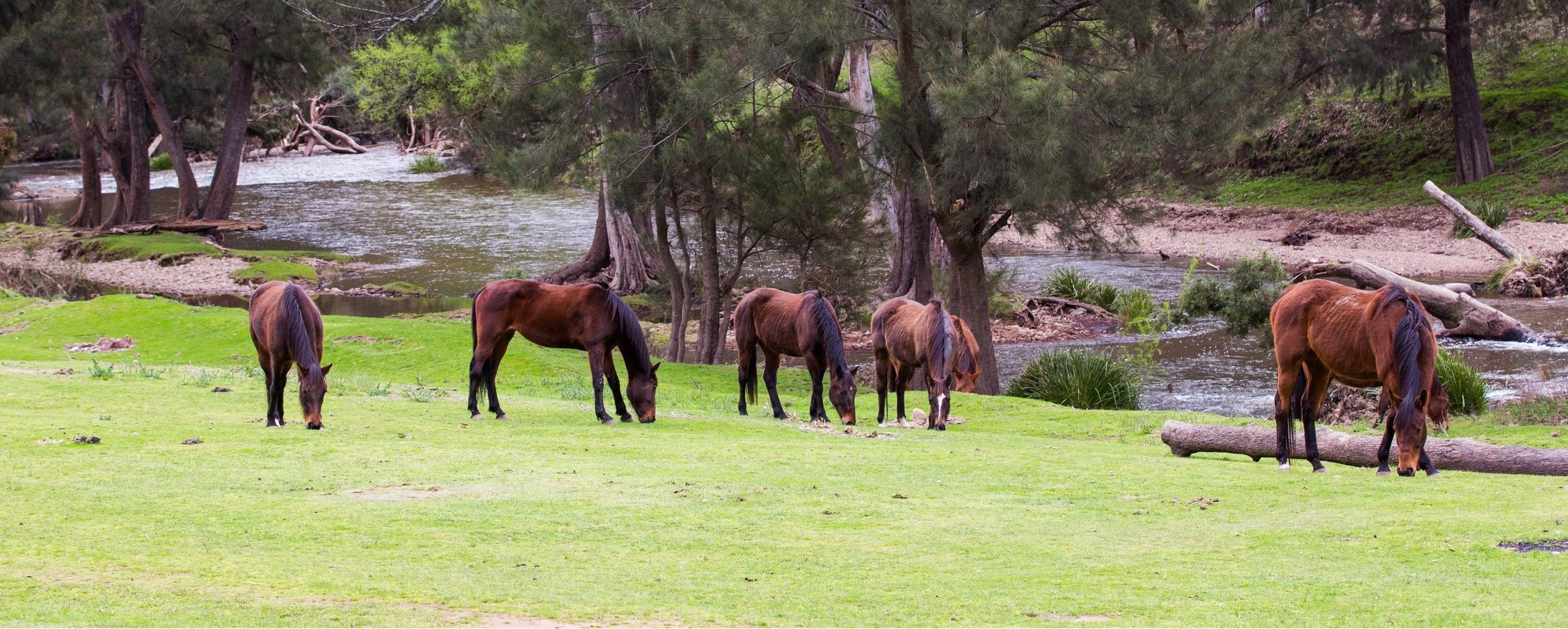 Turon Gates Mountain Get Away Things to Do