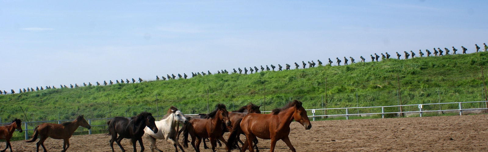 VIETNAM PONY CLUB | Pony Rental