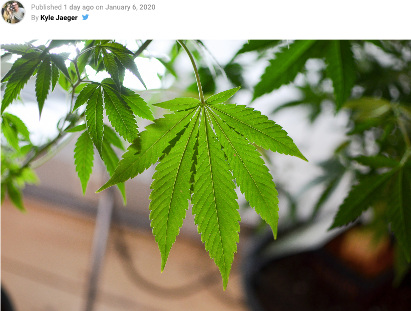 What MedMen’s Exit From Arizona’s Marijuana Market Means For ...