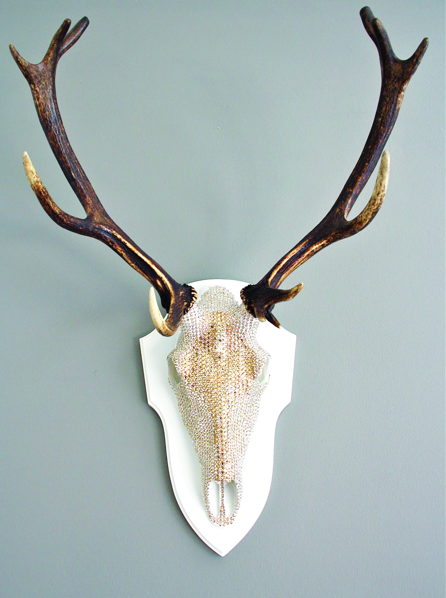 Geweihe | geweihatelier