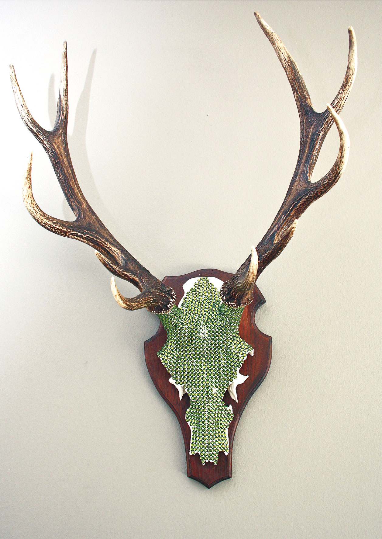 Geweihe | geweihatelier