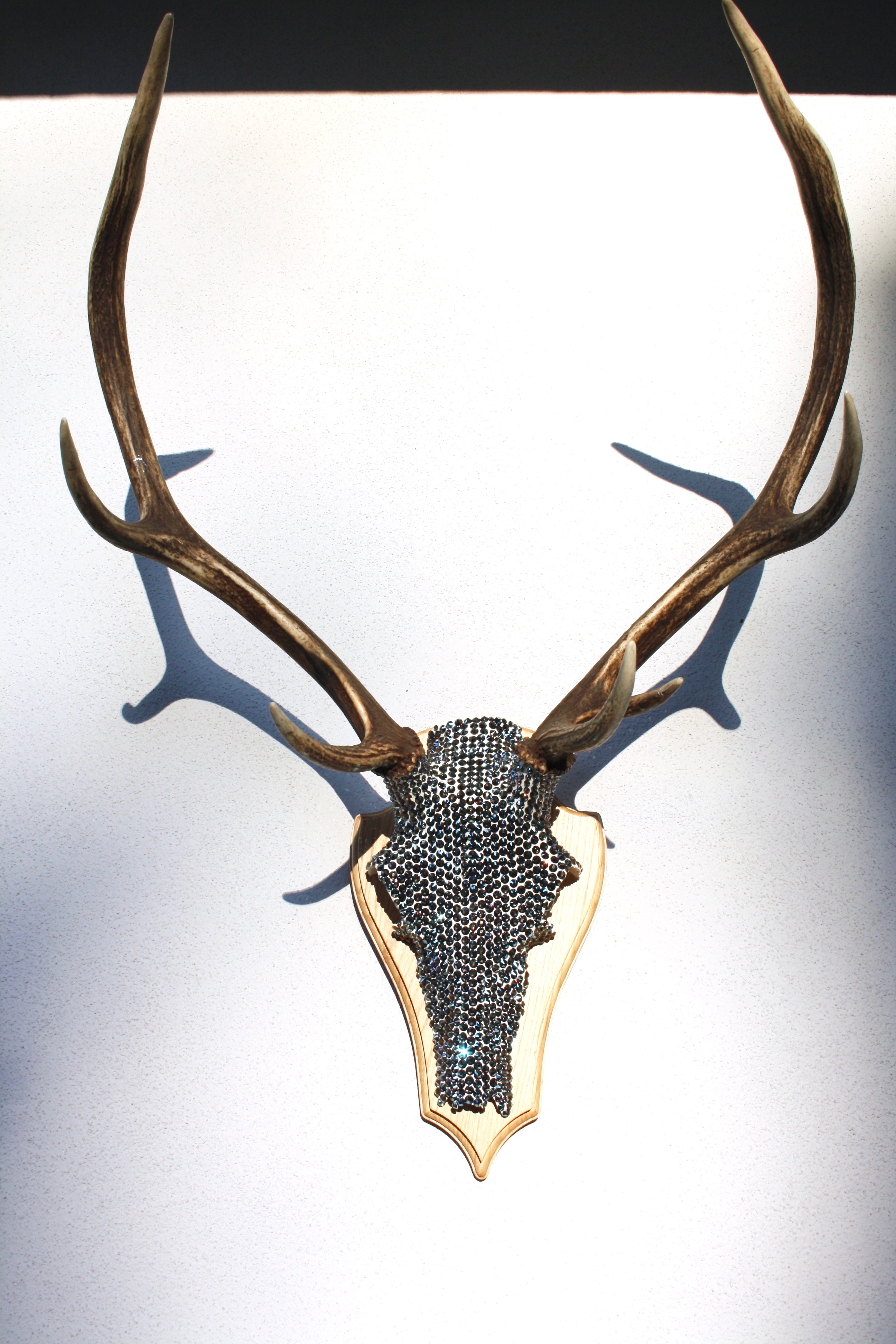 Geweihe | geweihatelier