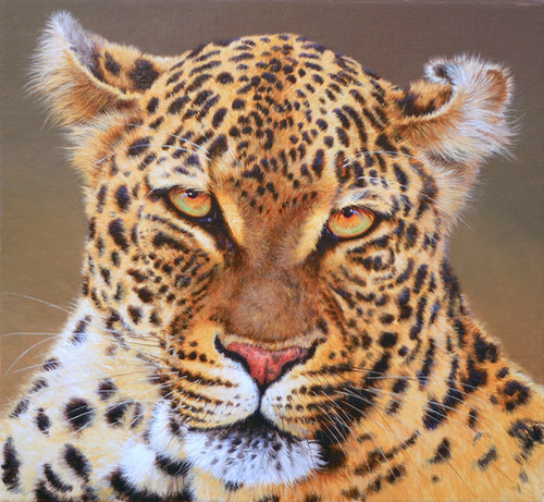 Leopard | david-ord-kerr