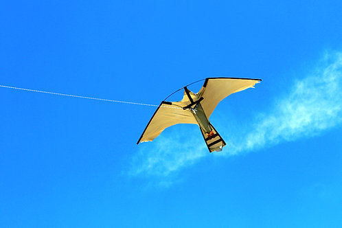 One 6.25 Alum Peregrine Pro Hawk Kite, Double Strength Line | peregrine ...