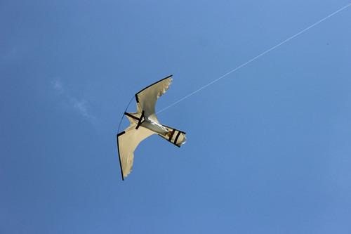 One x 13 Metre Pro Hawk Combi with Double strength fly line | peregrine ...