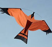 bird control systems ltd