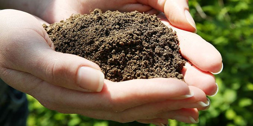 The Role of Biodiversity in a Profitable and Sustainable Farm