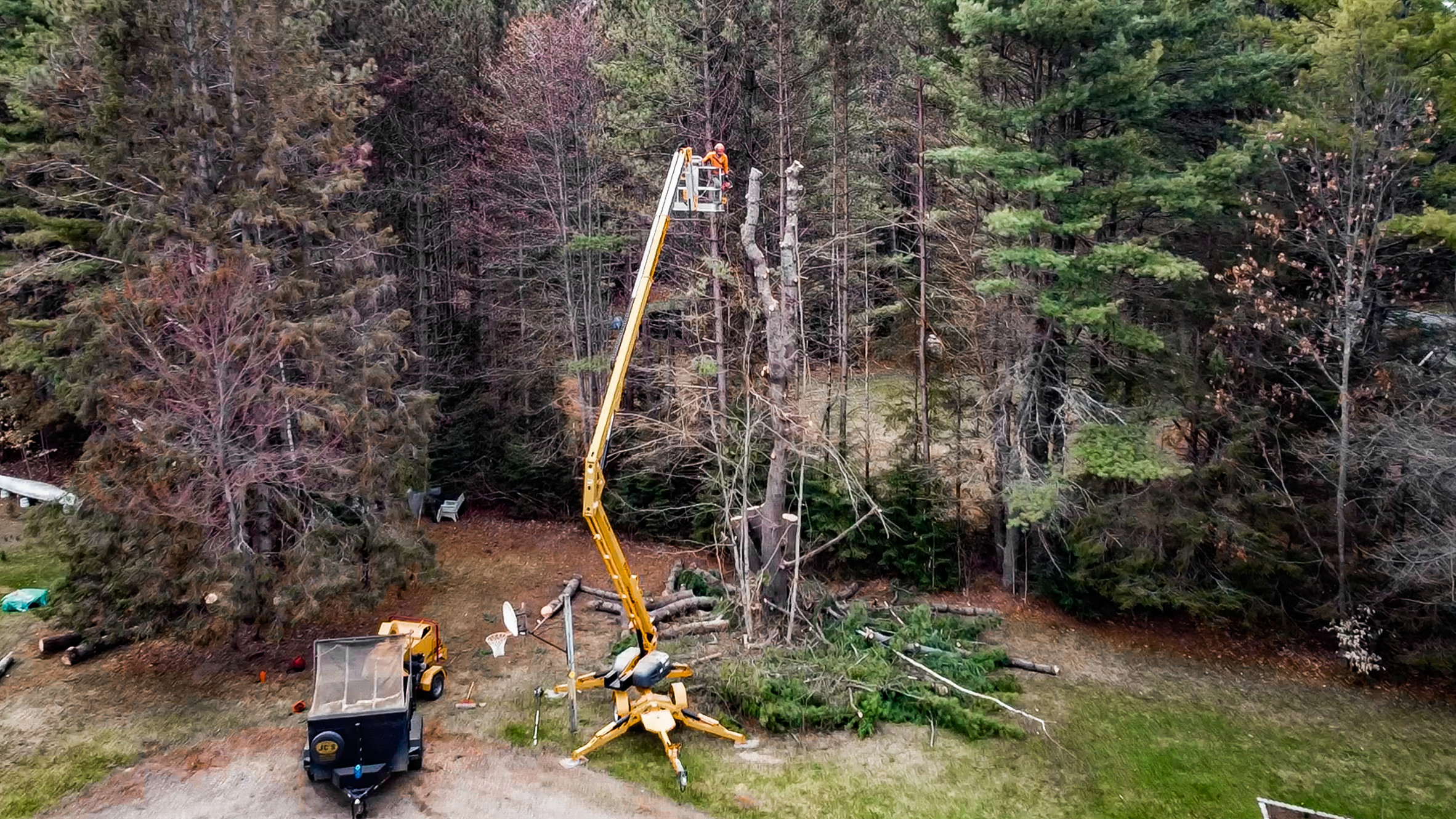 Tree Removal | Deep River Tree Service