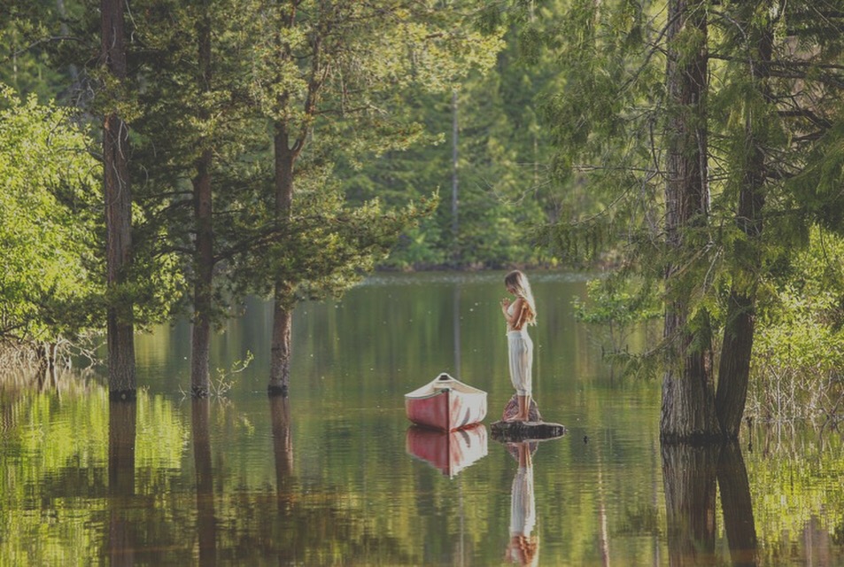 cover-image