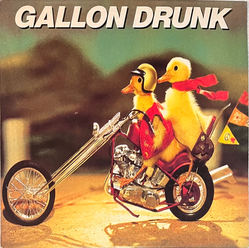 GALLON DRUNK - Some Fools Mess | Rabbit Hole Record