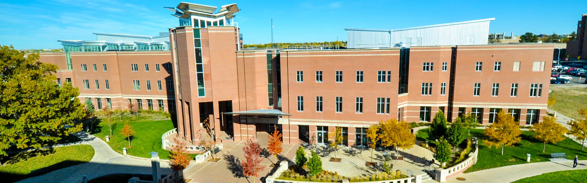 Publications | Theiss Lab