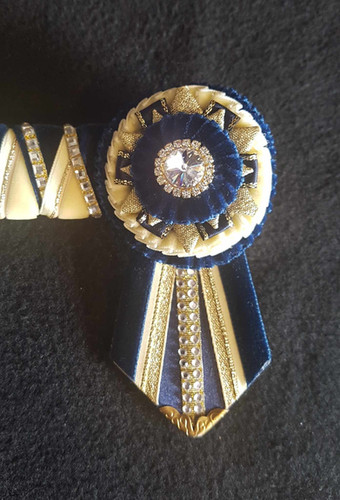 Show Browband *Near New* Full | Bay Equestrian