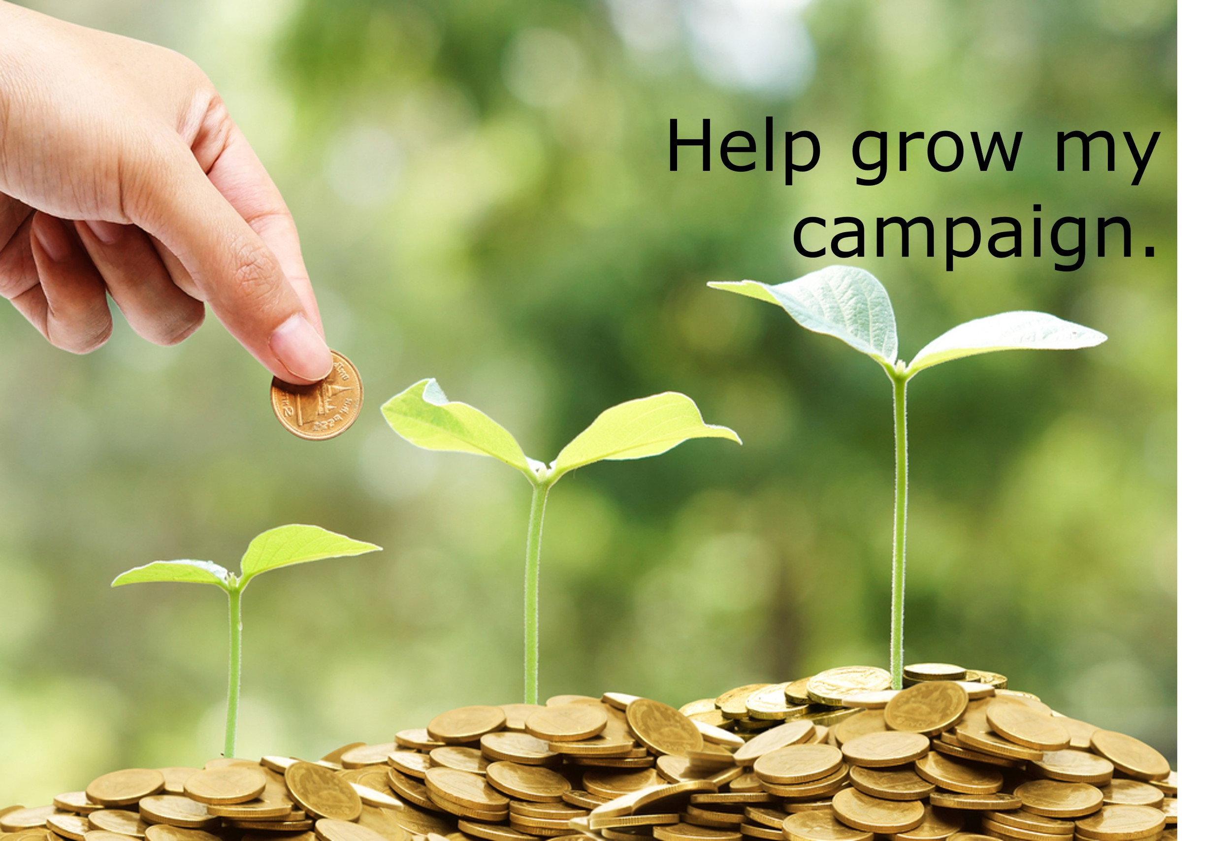 Donate | Boxberger for Judge