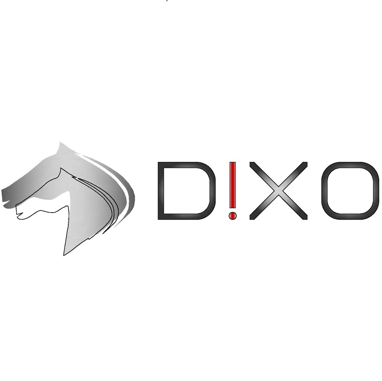 Dixo-Expert - Expertise construction