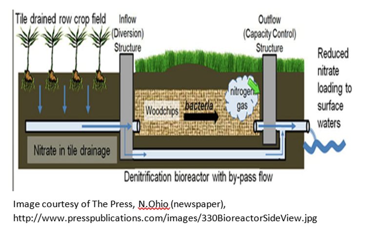 Denitrifying Woodchip Bioreactors: What are They? and How Do They Work?
