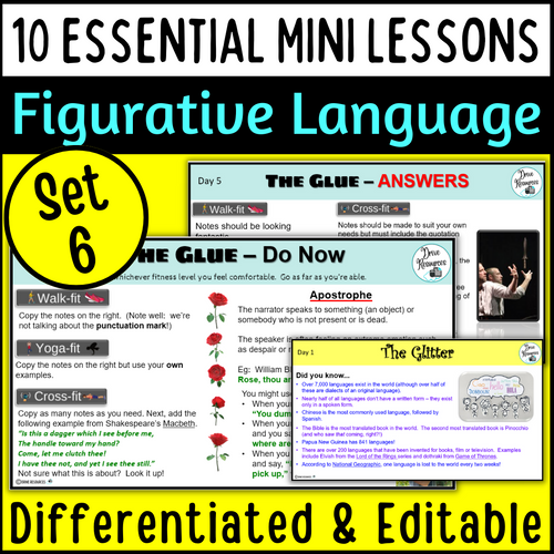 Essential Mini Lessons - Set 6 - Figurative Language | Drive Resources