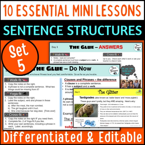 Essential Mini Lessons - Set 5 - Sentence structures | Drive Resources