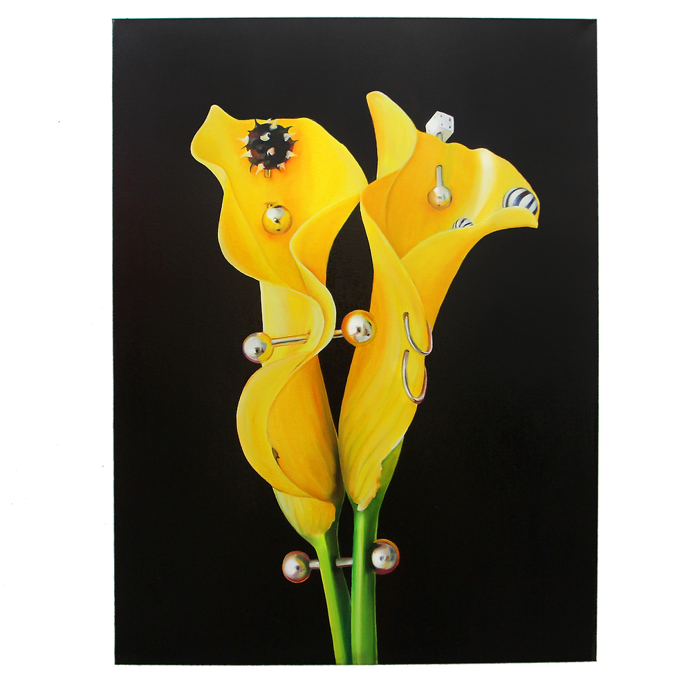 Artist | Kelly Shami - Artist | United States