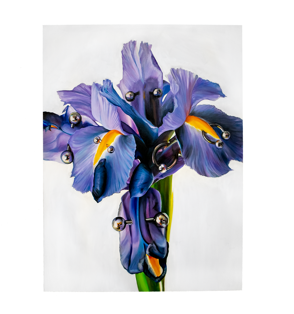 Artist | Kelly Shami - Artist | United States