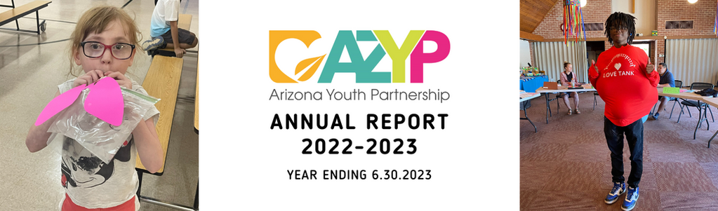 Stories & Impact | AZ Youth Partnership