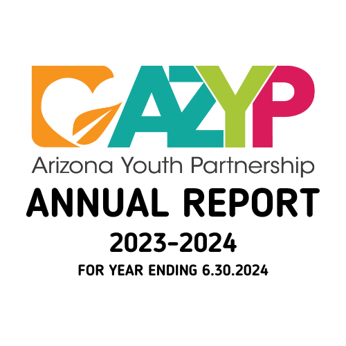 AZYP Annual Report 2023-2024