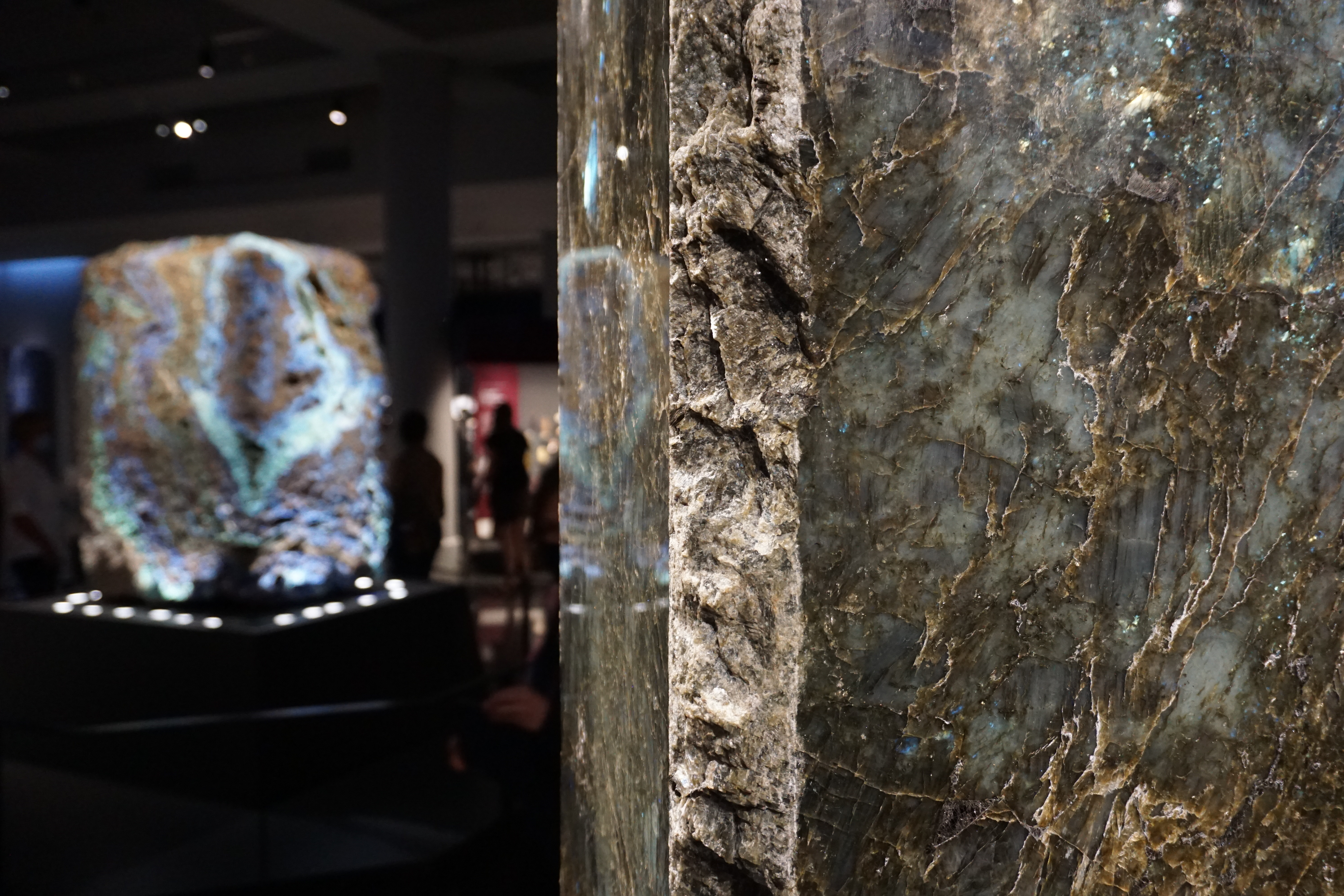 AMNH | PICCO Engineering