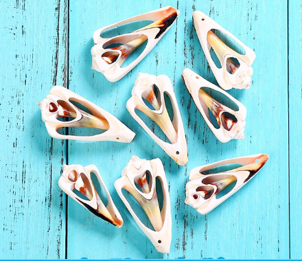 Cut Conch Shells | ResinFX