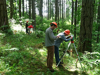 FE 208 Forest Surveying | jimkiser