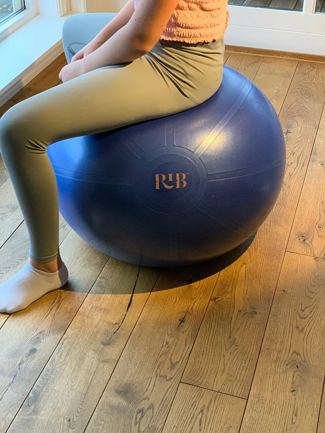 RIB Balansboll | Saxtorps Hästklinik