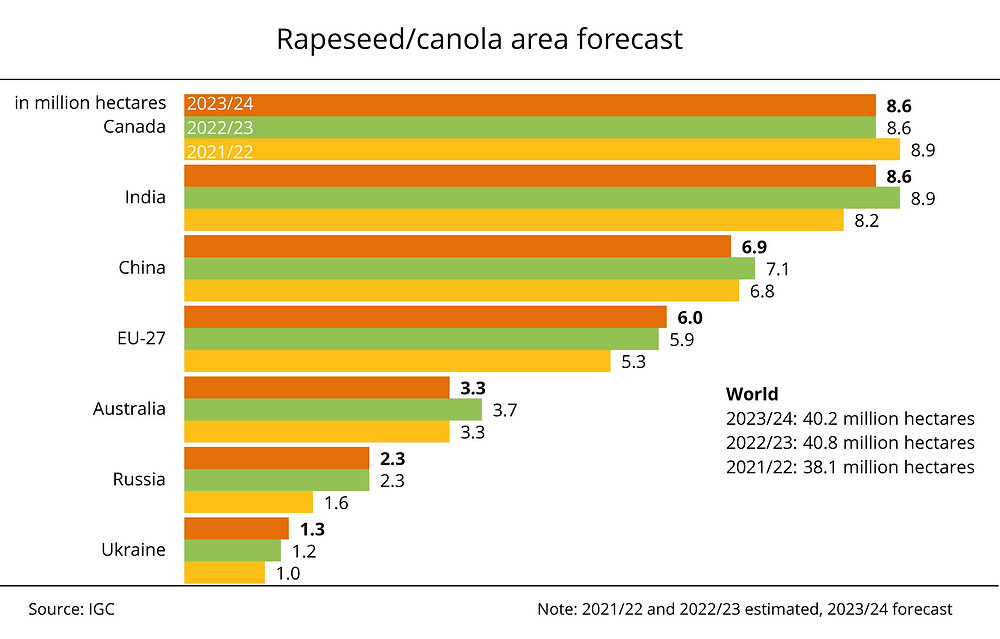 Global rapeseed-area estimate for 2023-’24 season down from last year