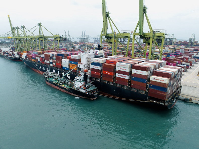 Yang Ming fuels 2 container ships with marine biofuel, plans to expand use