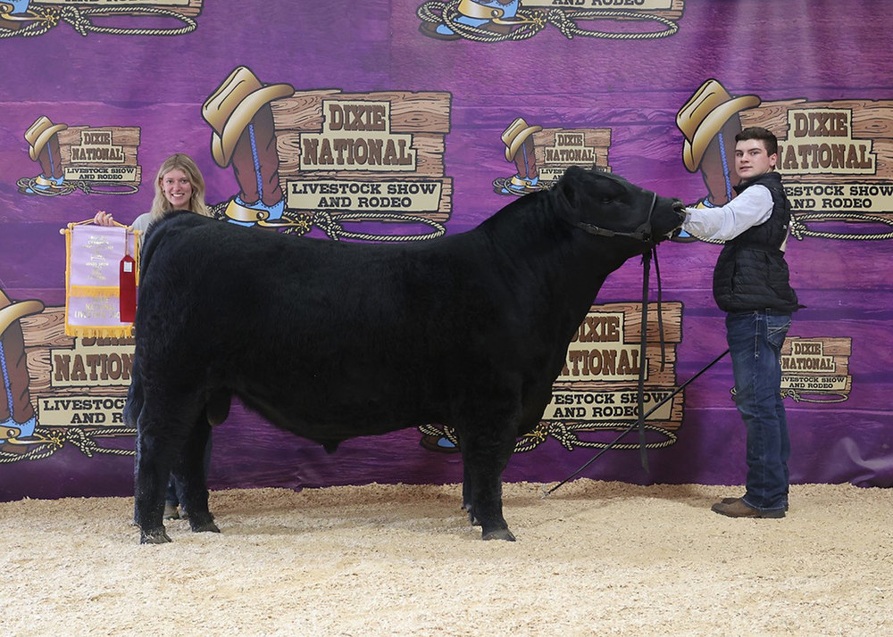 2024 Dixie National Roll of Victory (ROV) Angus Show