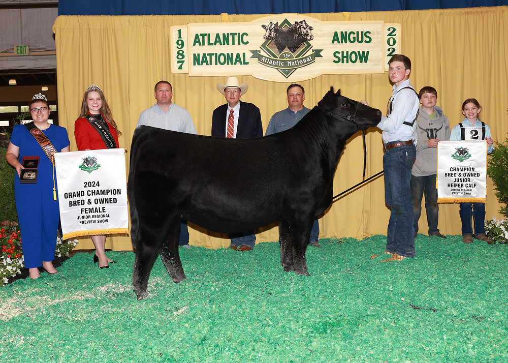 2024 Atlantic National Super Point Roll of Victory Angus Show