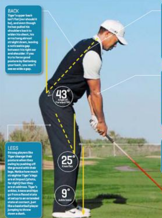 UNDERSTANDING THE PIVOT