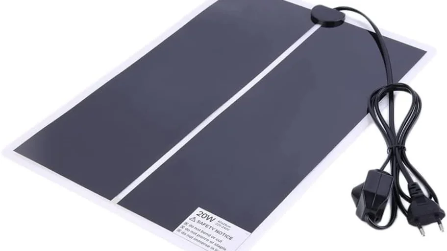 Bug Store | Mantis N,i