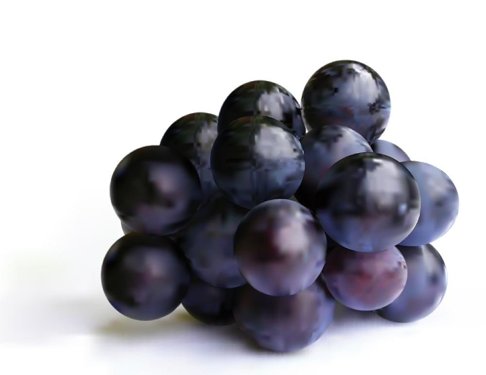 The Grapes Illustration for Illustrator Class