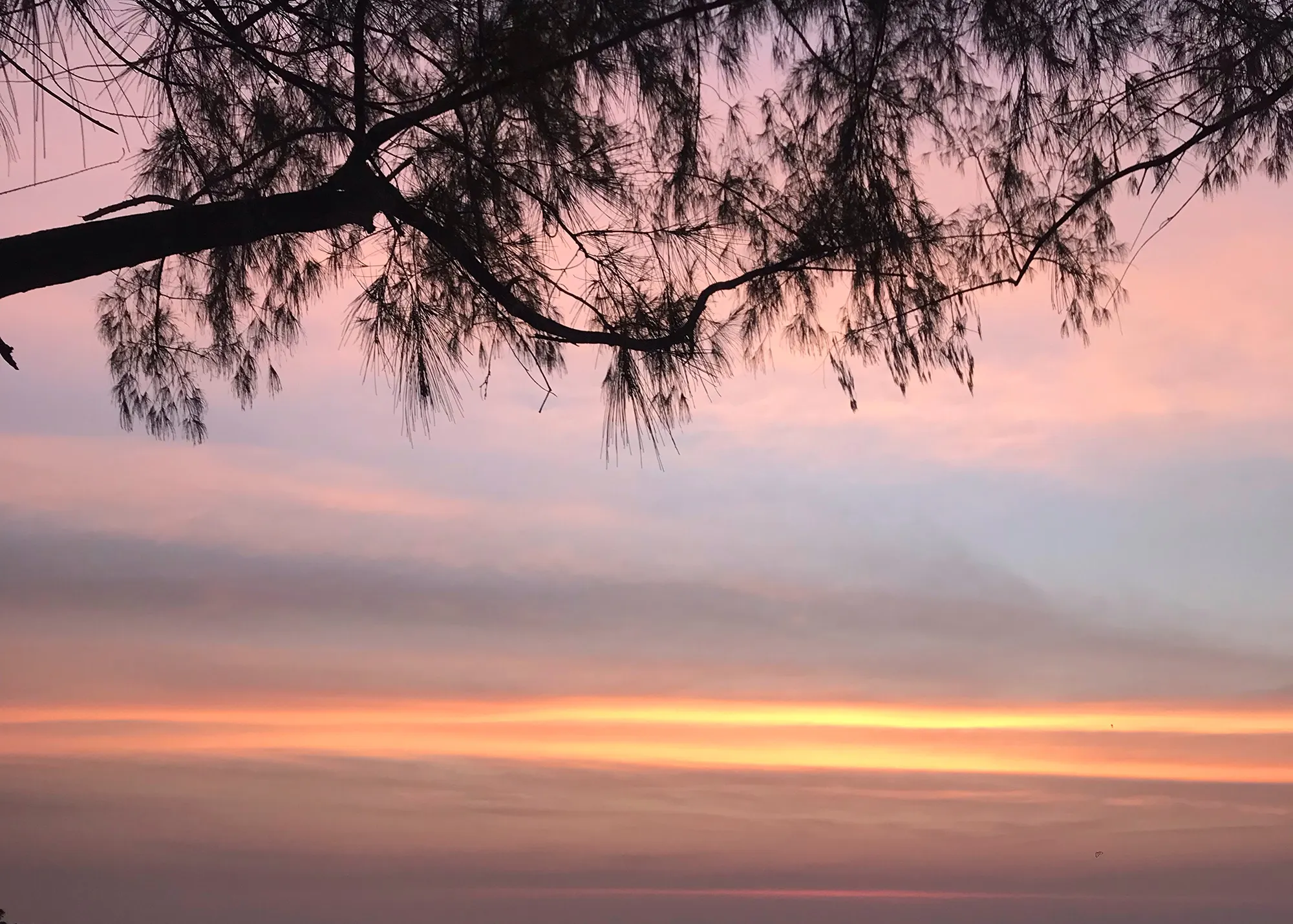 Kavo Rum | Greek Island Rum