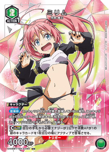 EX09BT/TSK-2-065B | COMBO