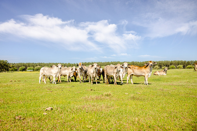 Land For Sale | Lakeland Ranch