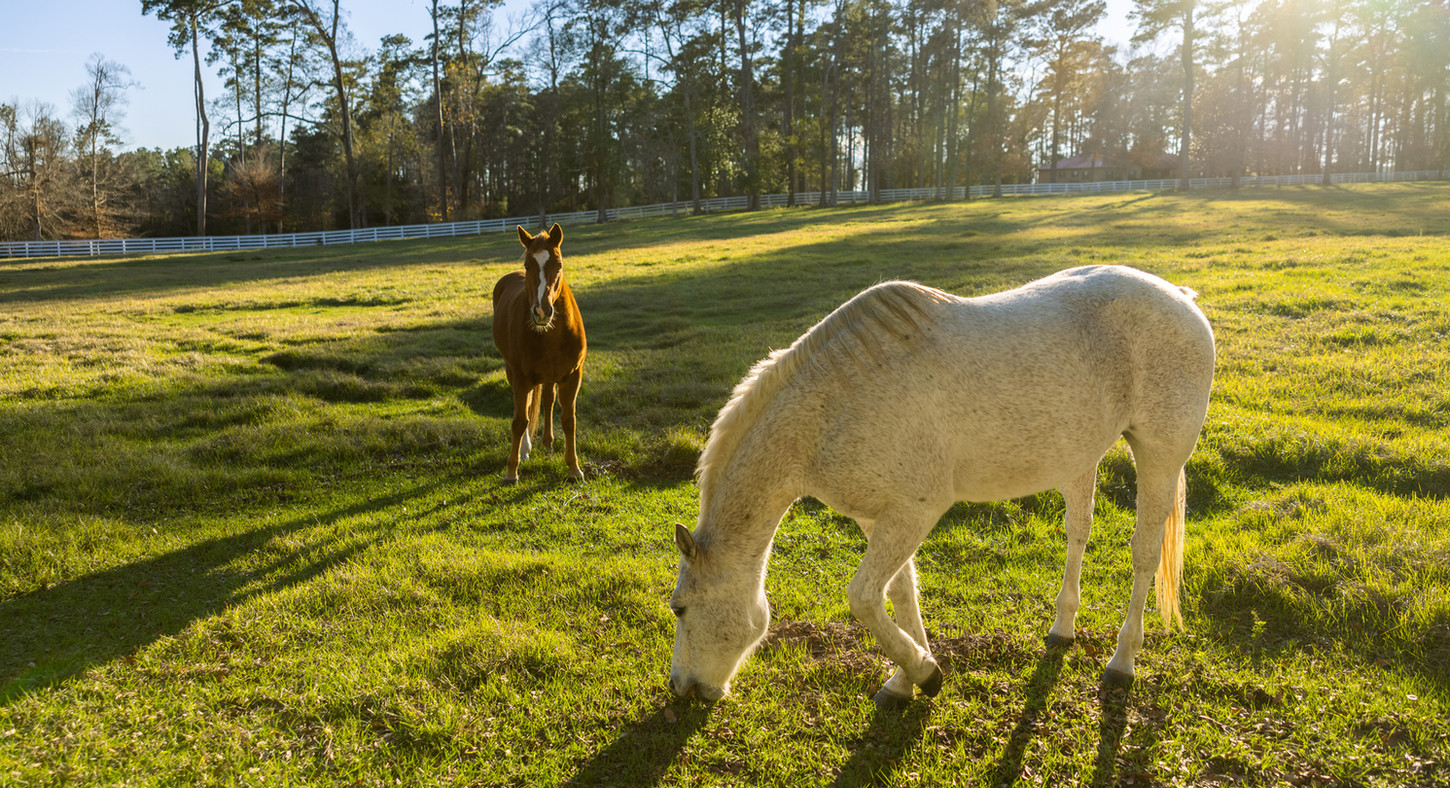CABIN | Lakelandranch