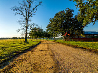 Land For Sale | Lakeland Ranch