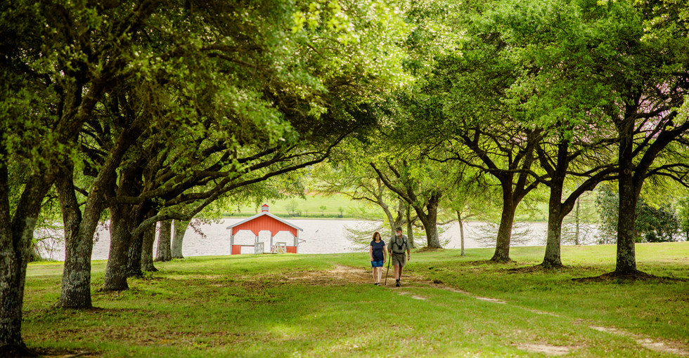 Land For Sale | Lakeland Ranch