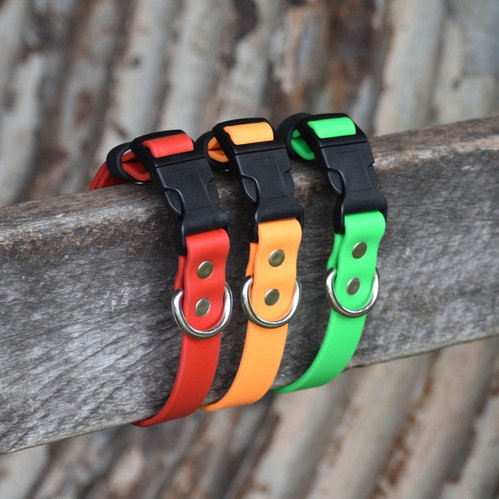 1" Quick Release Biothane Collar With Plastic Hardware | Bowie & Co