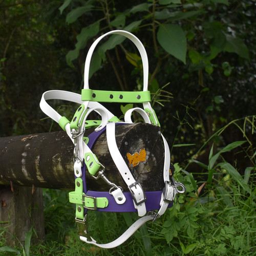 Adjustable Straight Front BioThane Harness | Bowie & Co