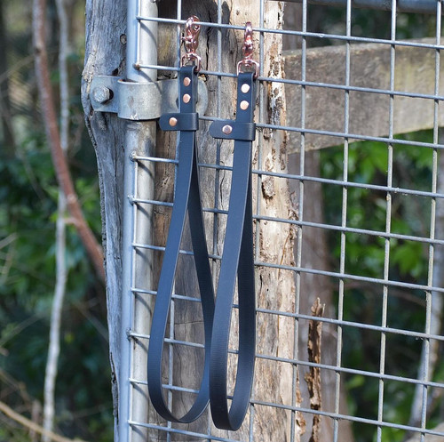 Biothane Grooming Noose | Bowie & Co